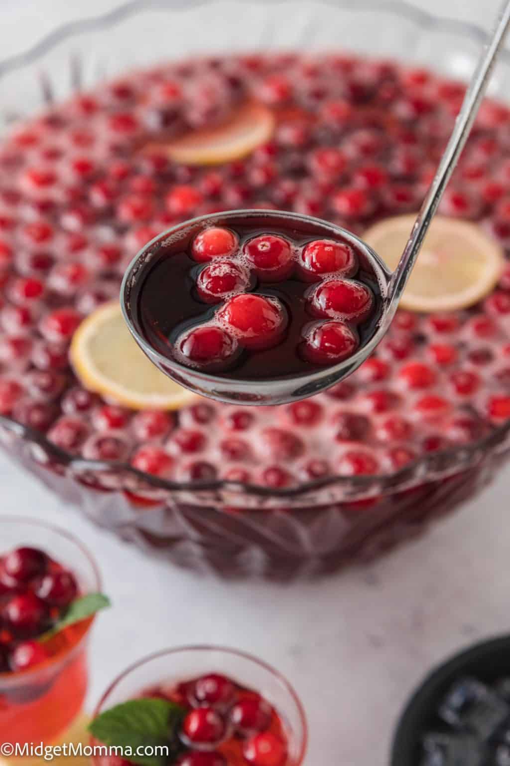 Sparkling Cranberry Punch