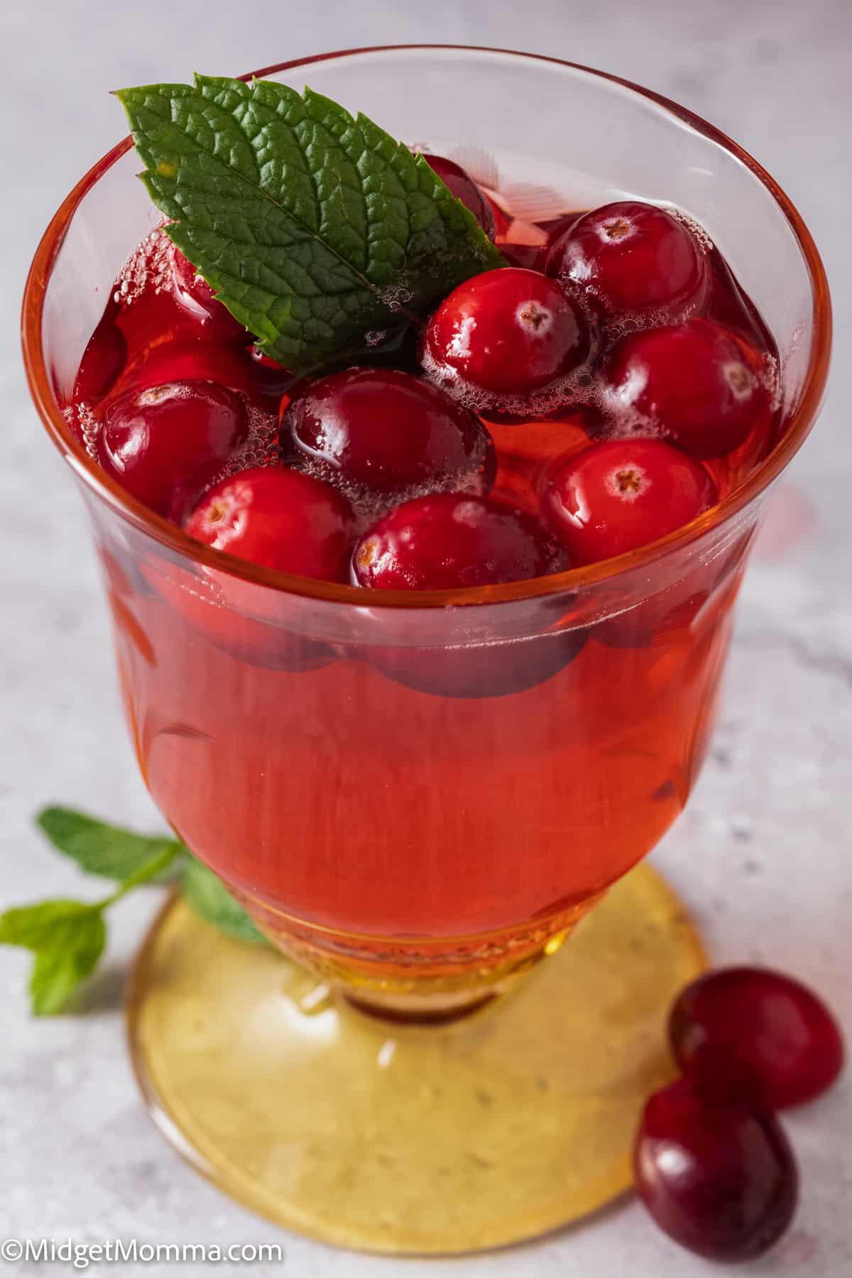 Sparkling Cranberry Punch