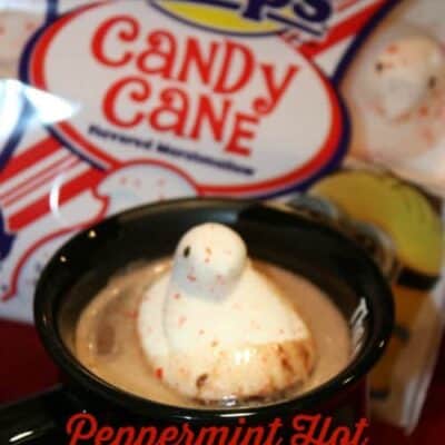 Easy Homemade Recipes - MidgetMomma.com