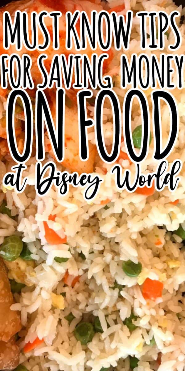 The BEST Tips Tricks For How To Save Money On Food At Disney World