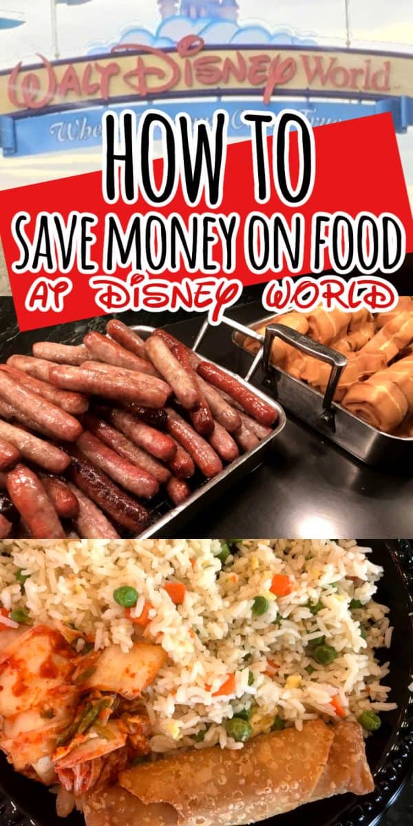 The BEST Tips Tricks For How To Save Money On Food At Disney World
