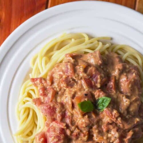 Tuscan Sun Dried Tomato Sauce Recipe • MidgetMomma