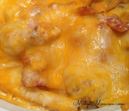 Amazing Chicken Bacon Ranch Cheesy Fries