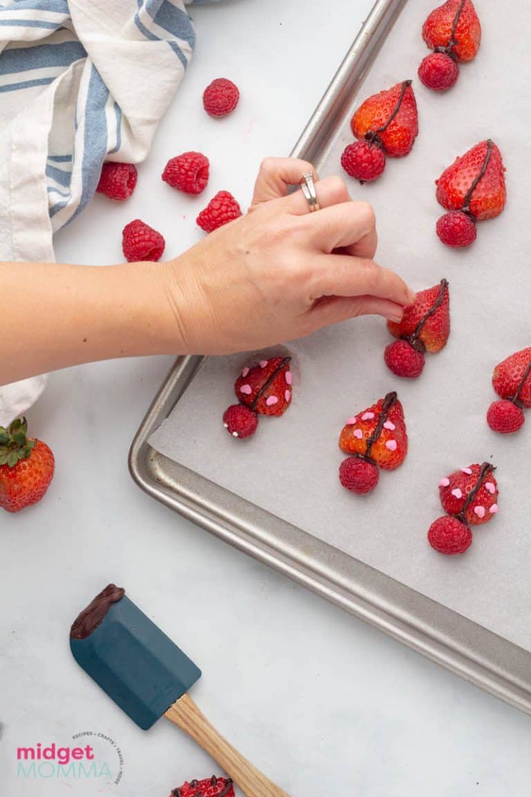 Fruit Love Bugs - Healthy Valentine's Day Treat • MidgetMomma