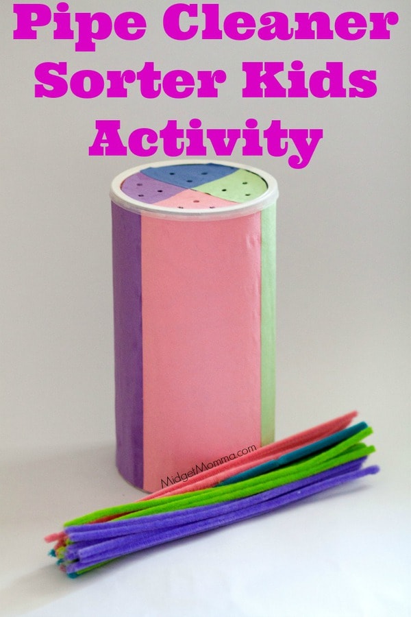 Pipe Cleaner Sorter Kids Activity • MidgetMomma