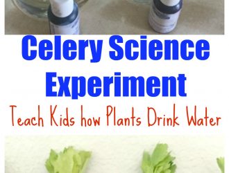 family fun Archives • Page 3 of 11 • MidgetMomma