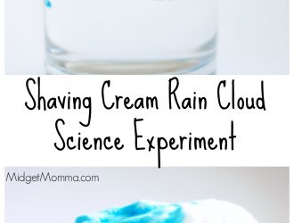 family fun Archives • Page 3 of 13 • MidgetMomma