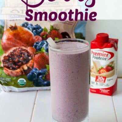 Medieval Times for Preschoolers • MidgetMomma