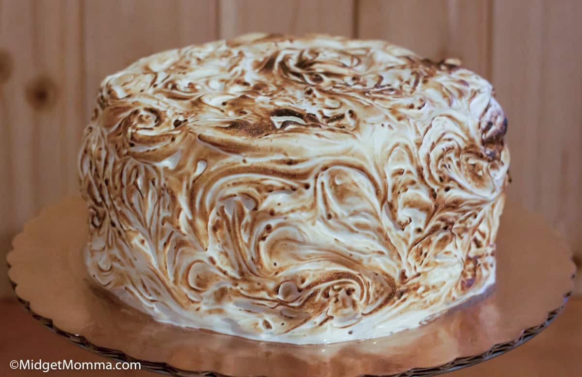 S'mores Cake {Made with Homemade Graham Cracker Cake}