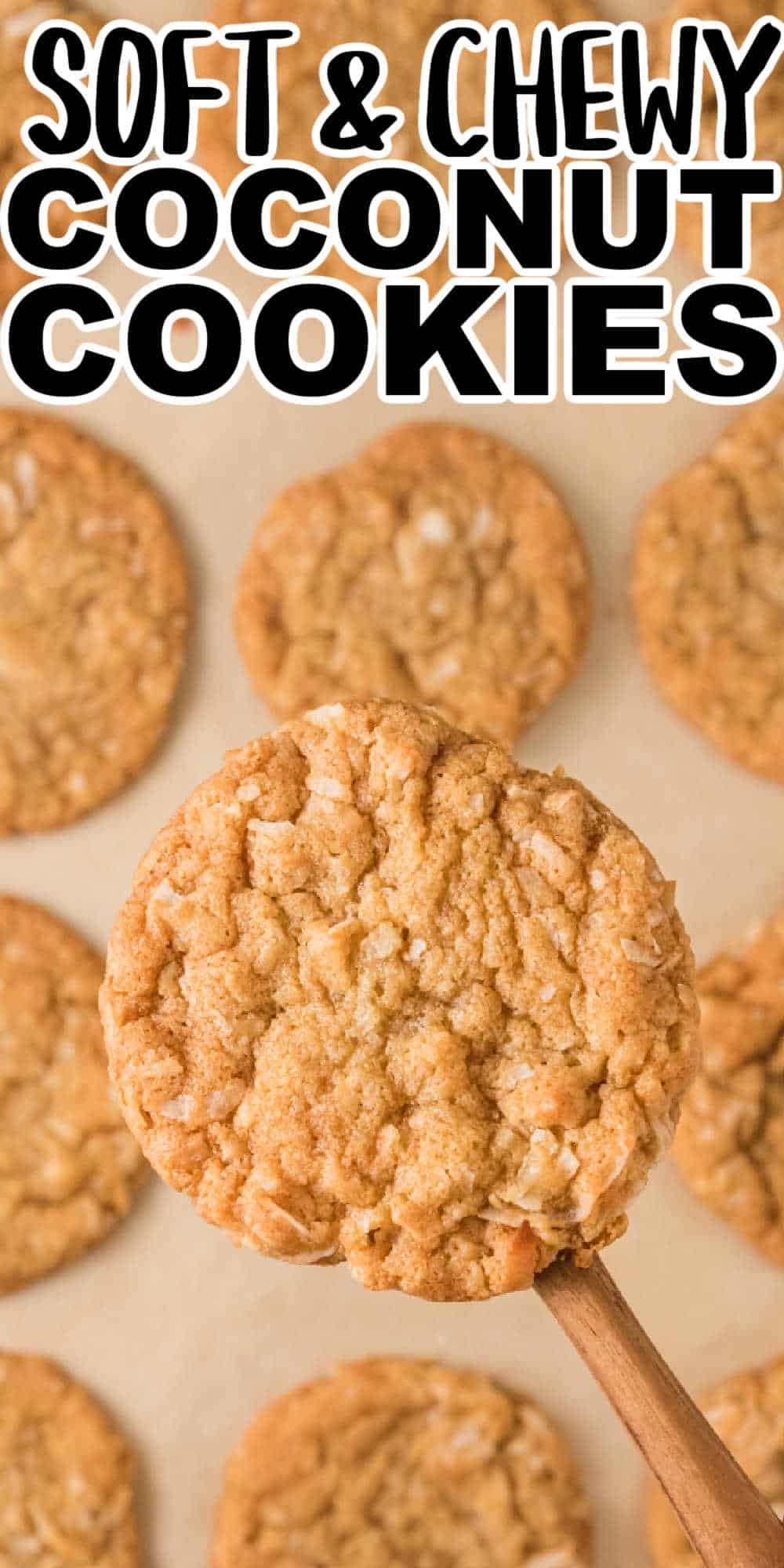 Soft and Chewy Coconut Cookies Recipe • MidgetMomma