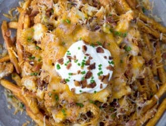 Blog • MidgetMomma