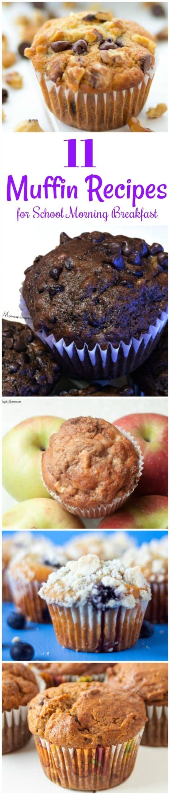 11 Muffin Recipes that are Perfect for School Morning Breakfast ...