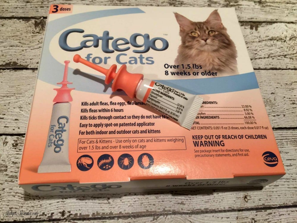 Keep the "Critters" Away from your Furbabies this Halloween with Catego ...