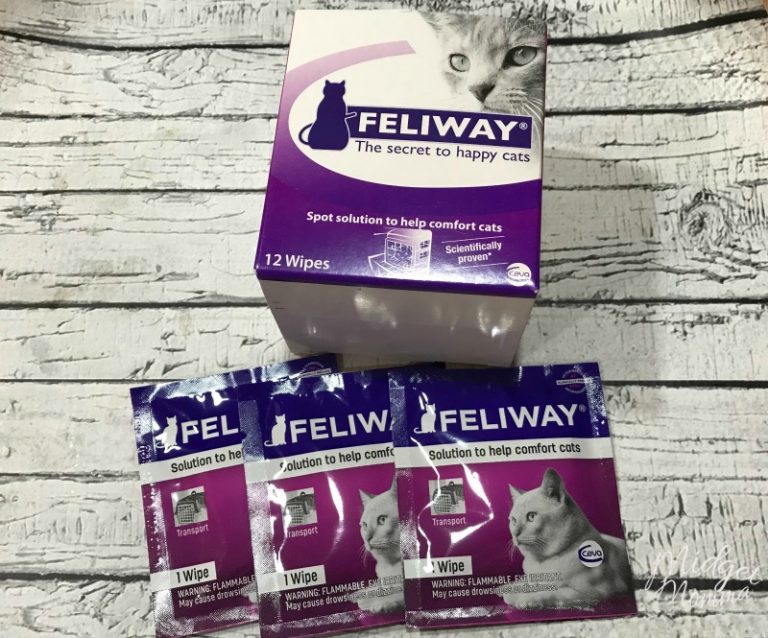 3 Feliway cat products Every Cat Owner must Try!