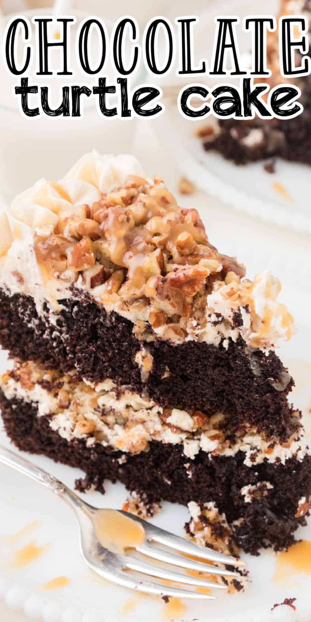 Caramel Turtle Cake Made with Homemade Chocolate Cake