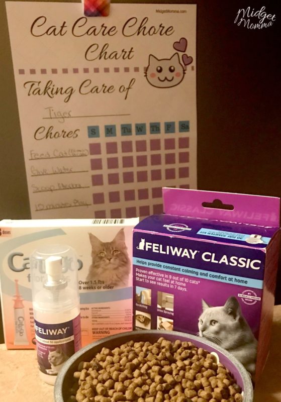 How to Teach Kids to Be Responsible Pet Owners • MidgetMomma