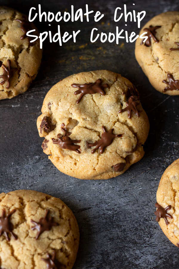 Halloween Spider Chocolate Chip Cookies • MidgetMomma