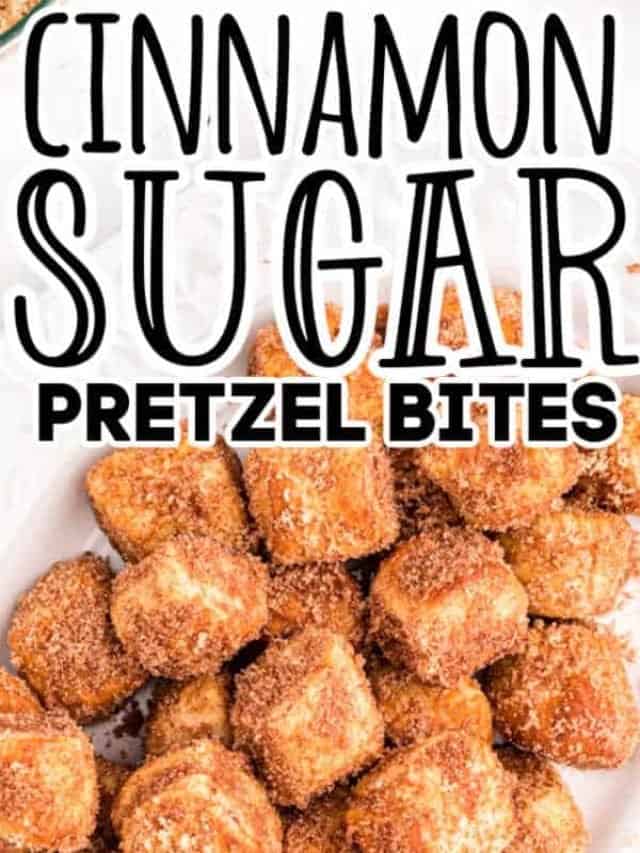 Cinnamon Sugar Pretzel Bites Recipe • MidgetMomma