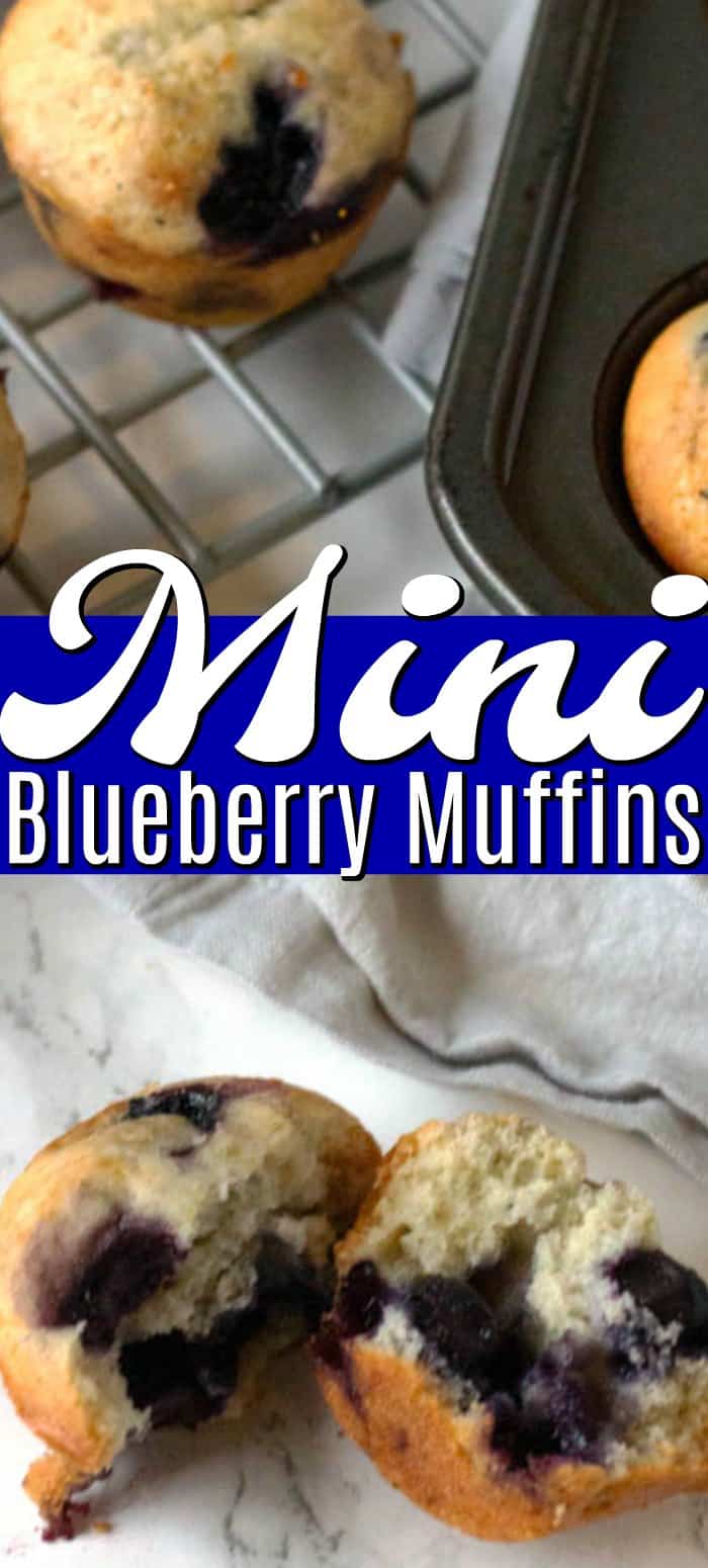 Moist & Delicious The Best Mini Blueberry Muffins Recipe • MidgetMomma
