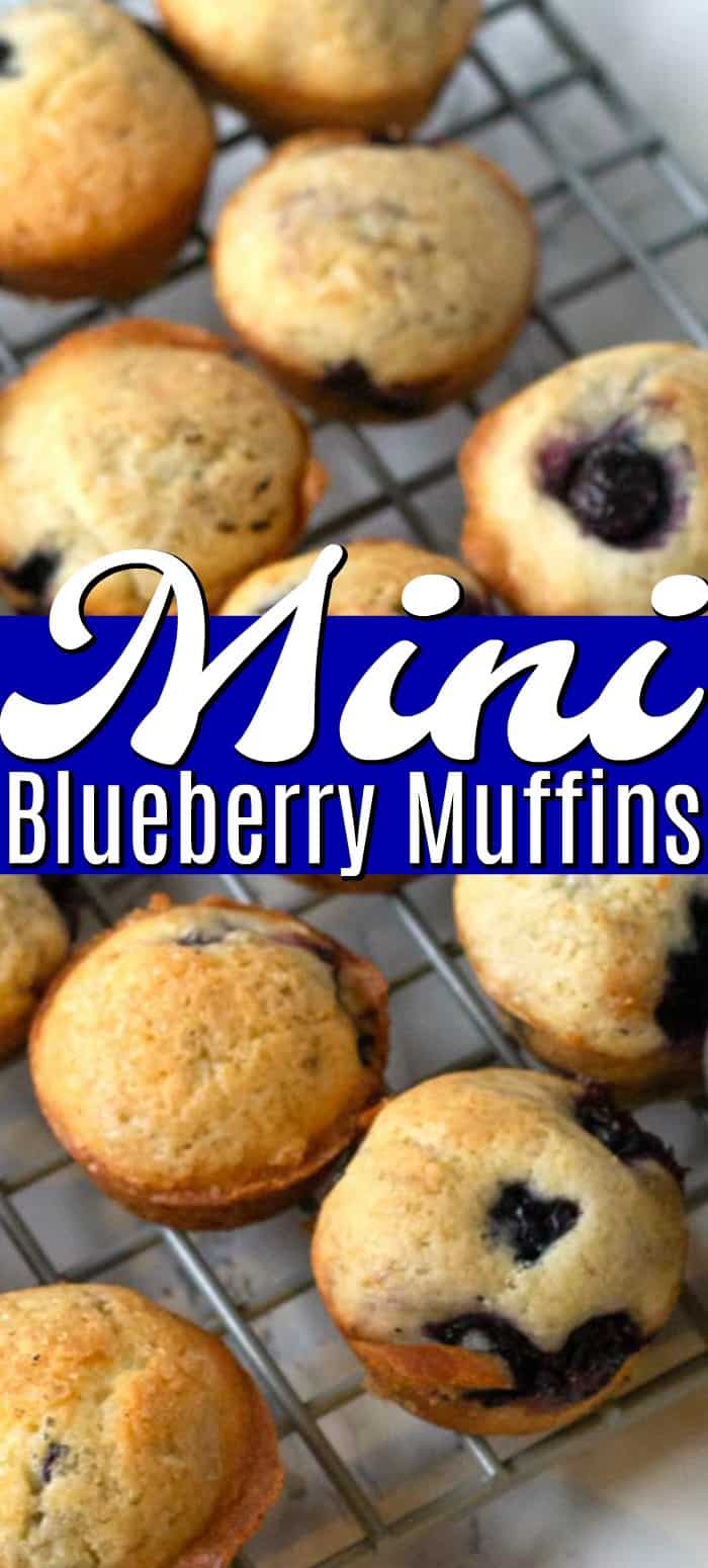 Moist & Delicious The Best Mini Blueberry Muffins Recipe • MidgetMomma