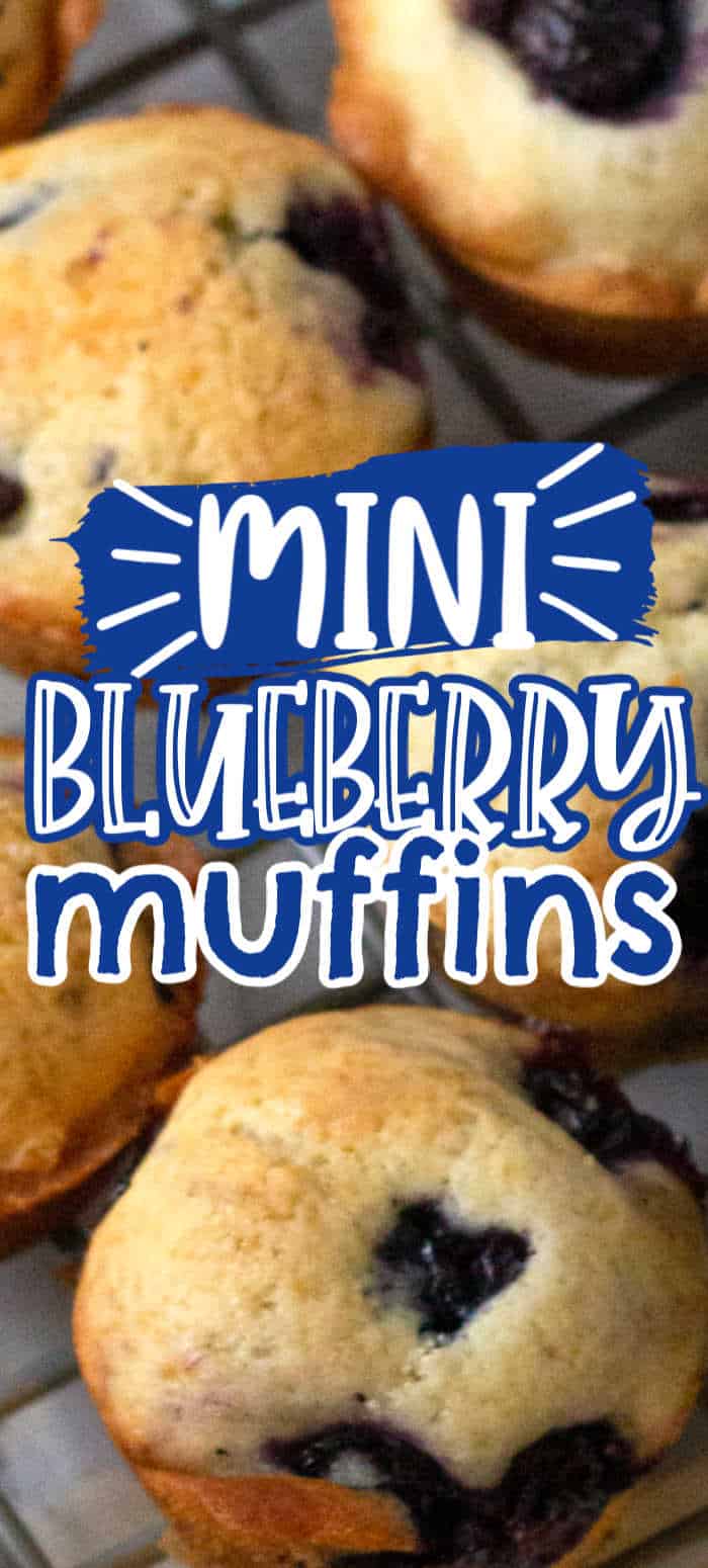 Moist & Delicious The Best Mini Blueberry Muffins Recipe • MidgetMomma