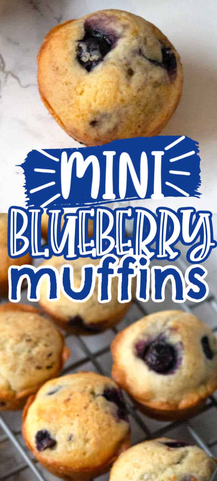 Moist & Delicious The Best Mini Blueberry Muffins Recipe • MidgetMomma