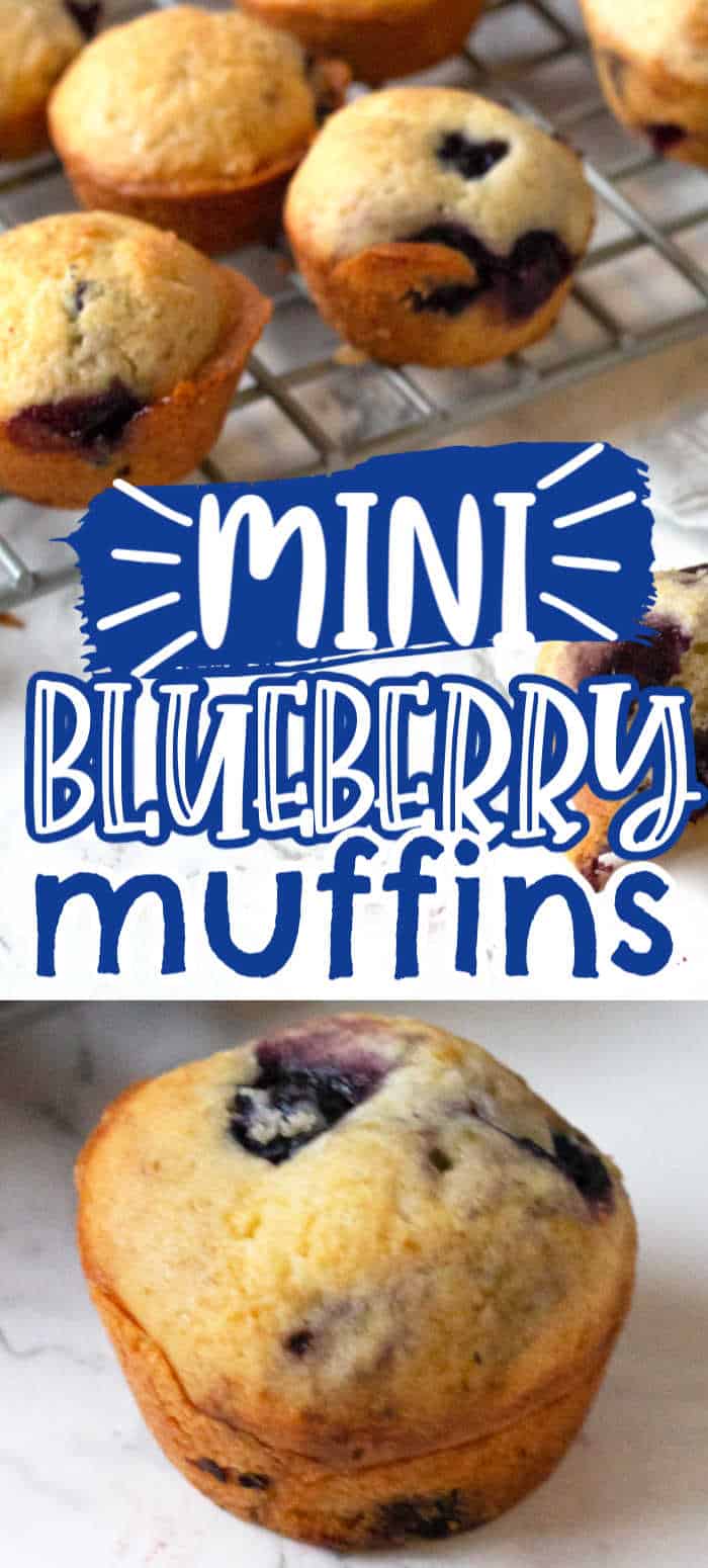 Moist & Delicious The Best Mini Blueberry Muffins Recipe • MidgetMomma