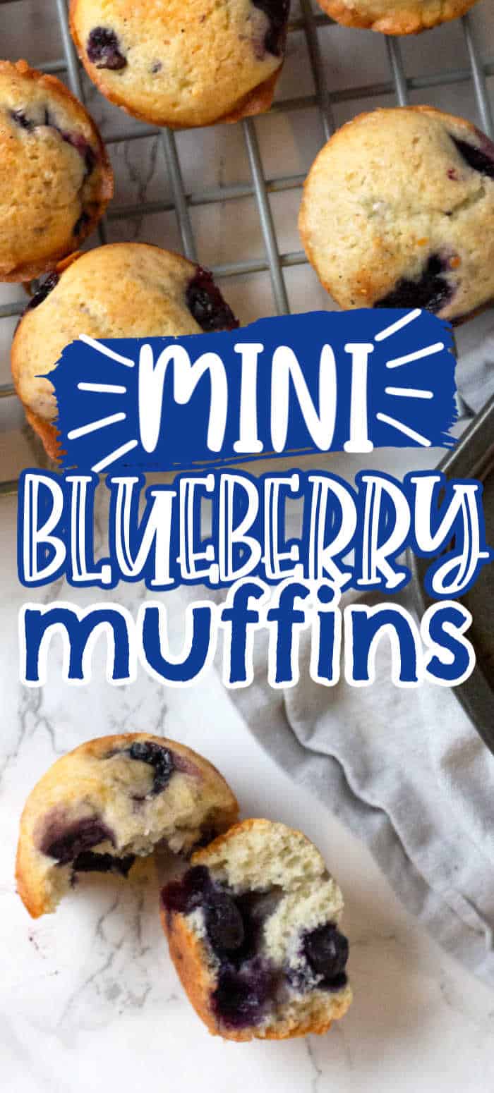 Moist & Delicious The Best Mini Blueberry Muffins Recipe • MidgetMomma