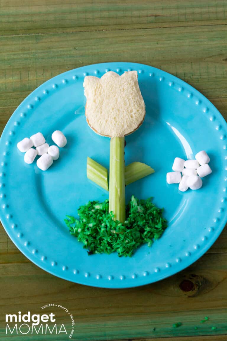 Flower Sandwich - Fun Lunch Idea for Kids! • MidgetMomma