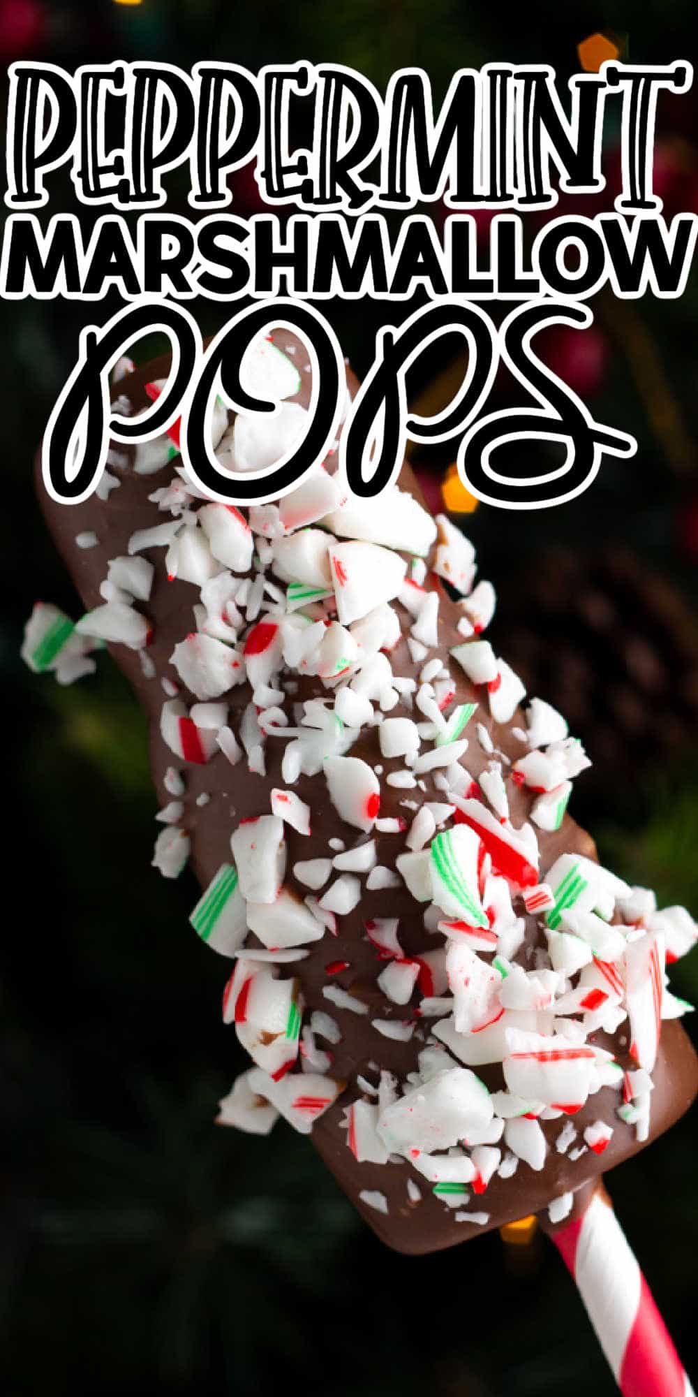 Peppermint Chocolate Covered Marshmallow Pops