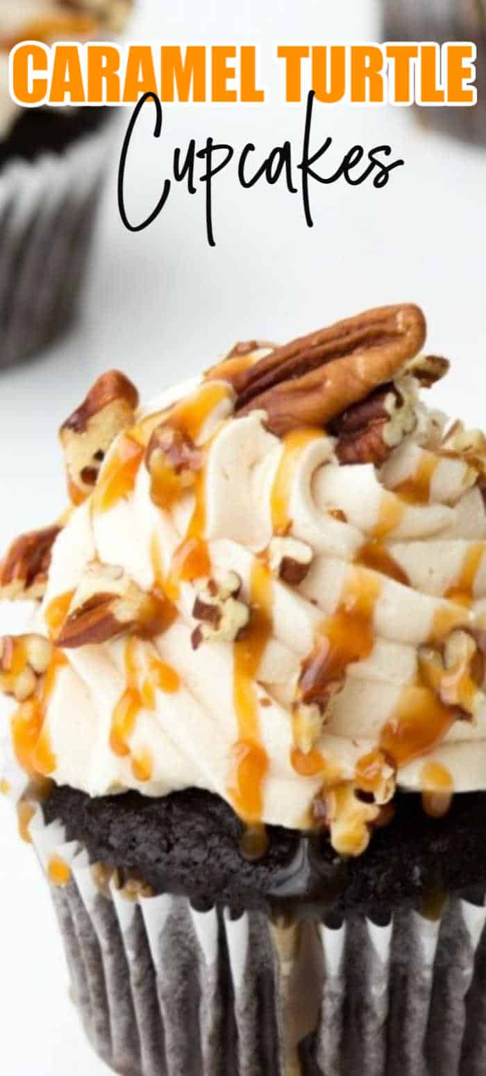 Chocolate Caramel Turtle Cupcakes • MidgetMomma