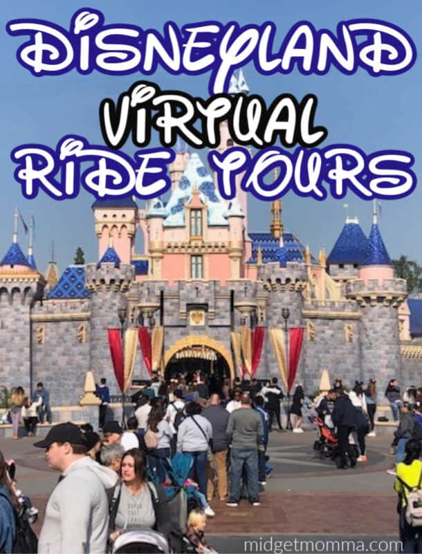 Virtual Theme Park Rides You Can Enjoy At Home • MidgetMomma