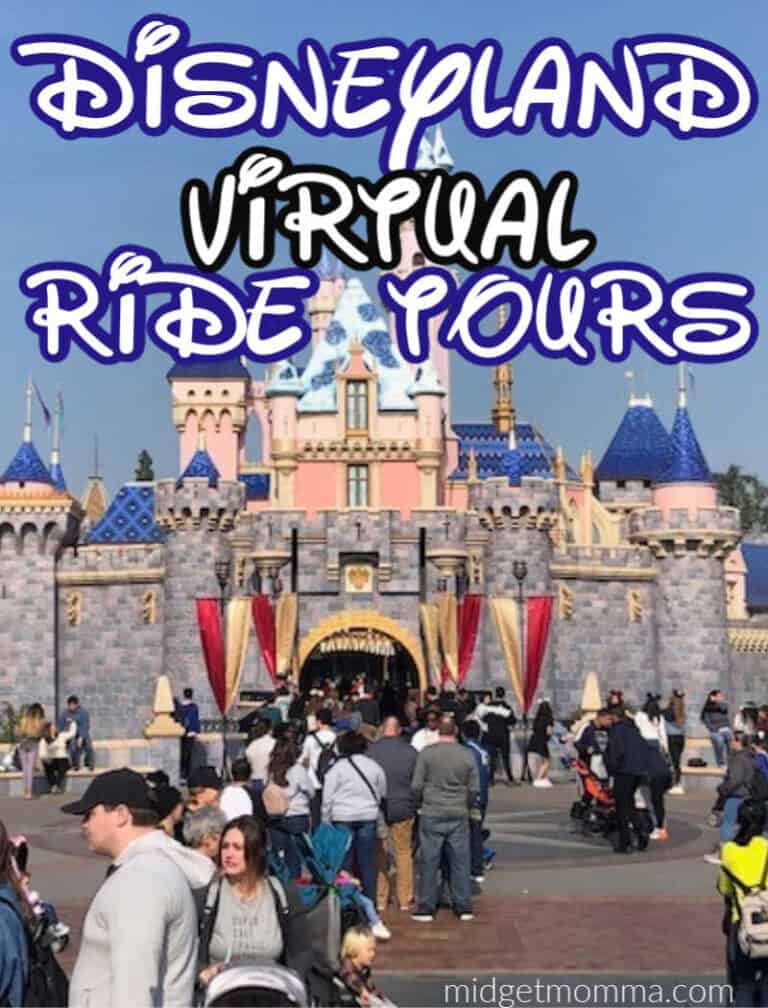 Virtual Theme Park Rides You Can Enjoy At Home • MidgetMomma