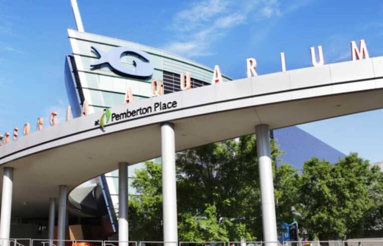 Virtual Aquarium Tours To Take with the Kids • MidgetMomma