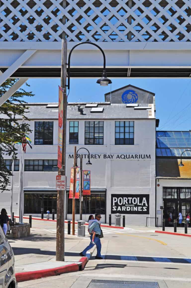 Virtual Aquarium Tours To Take with the Kids • MidgetMomma