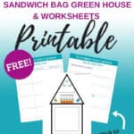 DIY Sandwich Bag Green House Kids Activity • MidgetMomma