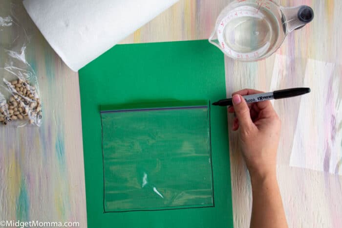 DIY Sandwich Bag Green House Kids Activity • MidgetMomma