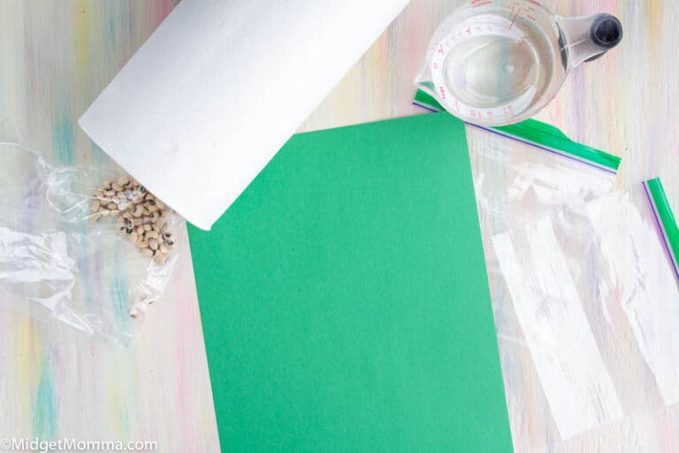 DIY Sandwich Bag Green House Kids Activity • MidgetMomma