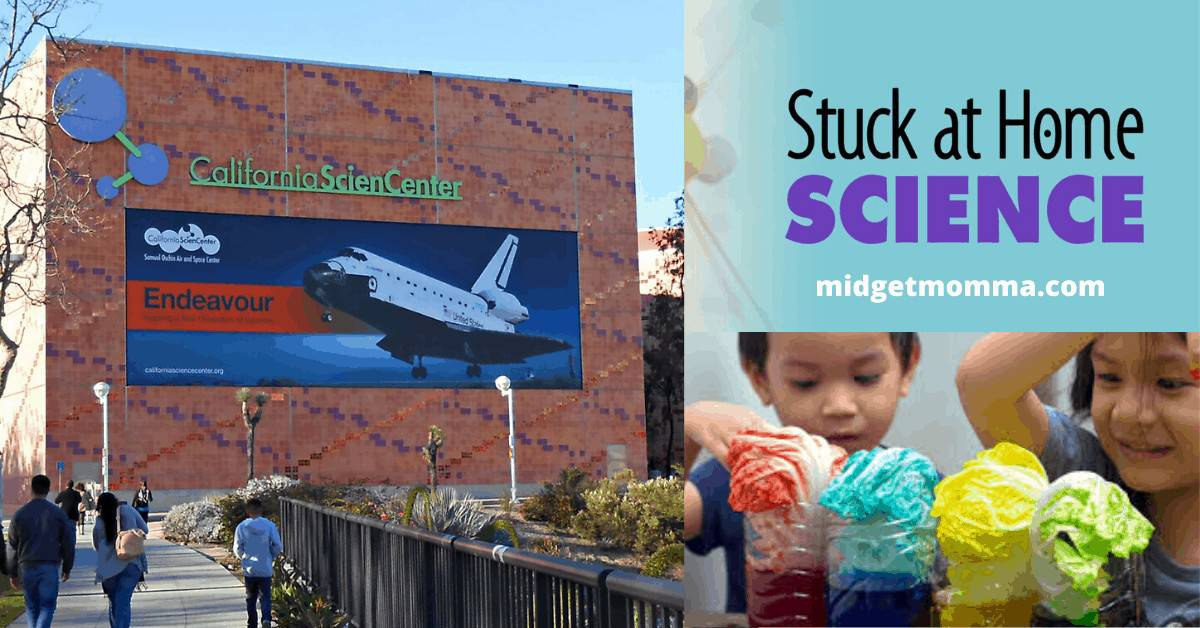 Free Stuck at Home Kids Science Activities at California Science Center ...