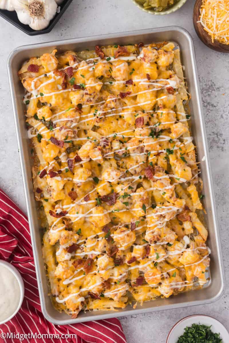 Cheesy Loaded Chicken Bacon Ranch Fries Recipe • MidgetMomma