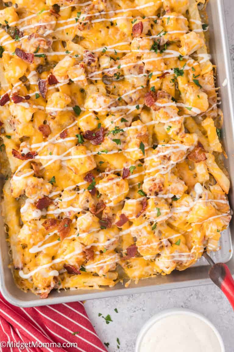 Cheesy Loaded Chicken Bacon Ranch Fries Recipe • MidgetMomma