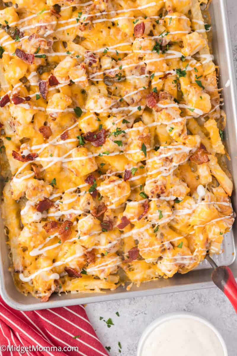 Cheesy Loaded Chicken Bacon Ranch Fries Recipe • MidgetMomma