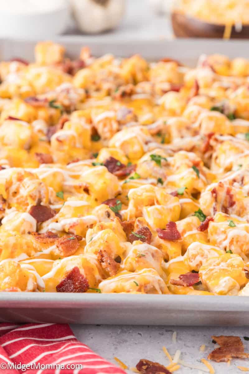 Cheesy Loaded Chicken Bacon Ranch Fries Recipe • MidgetMomma