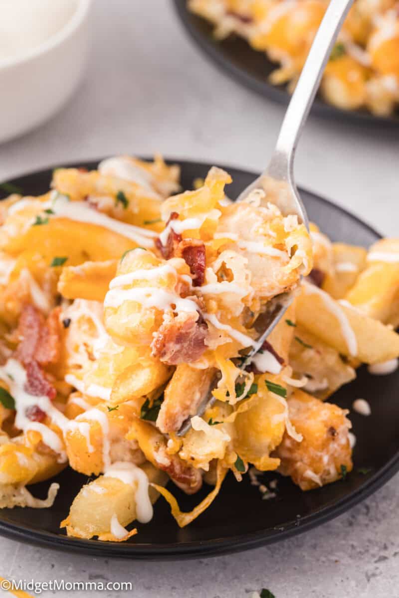 Cheesy Loaded Chicken Bacon Ranch Fries Recipe • MidgetMomma