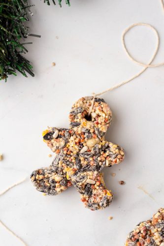 How to Make Bird Seed Ornaments • MidgetMomma