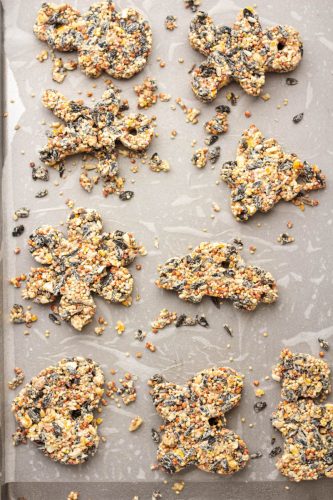 How to Make Bird Seed Ornaments • MidgetMomma