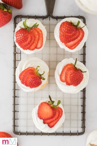 Light and Fluffy Angel Food Cupcakes Recipe • MidgetMomma