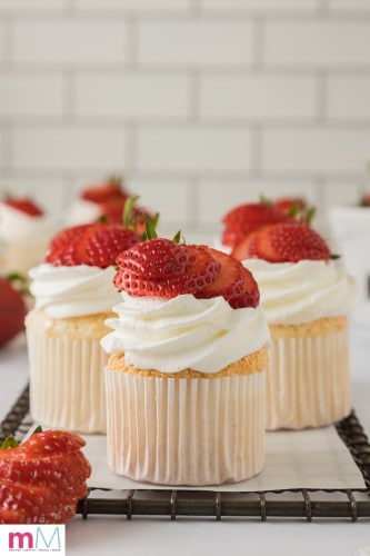 Light and Fluffy Angel Food Cupcakes Recipe • MidgetMomma