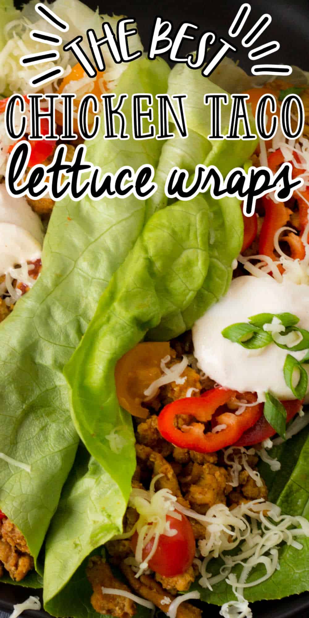 Chicken Taco Lettuce Wraps (Easy Healthy Taco Recipe)