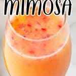 Raspberry Mimosas Recipe (+ Mocktail Recipe) • MidgetMomma